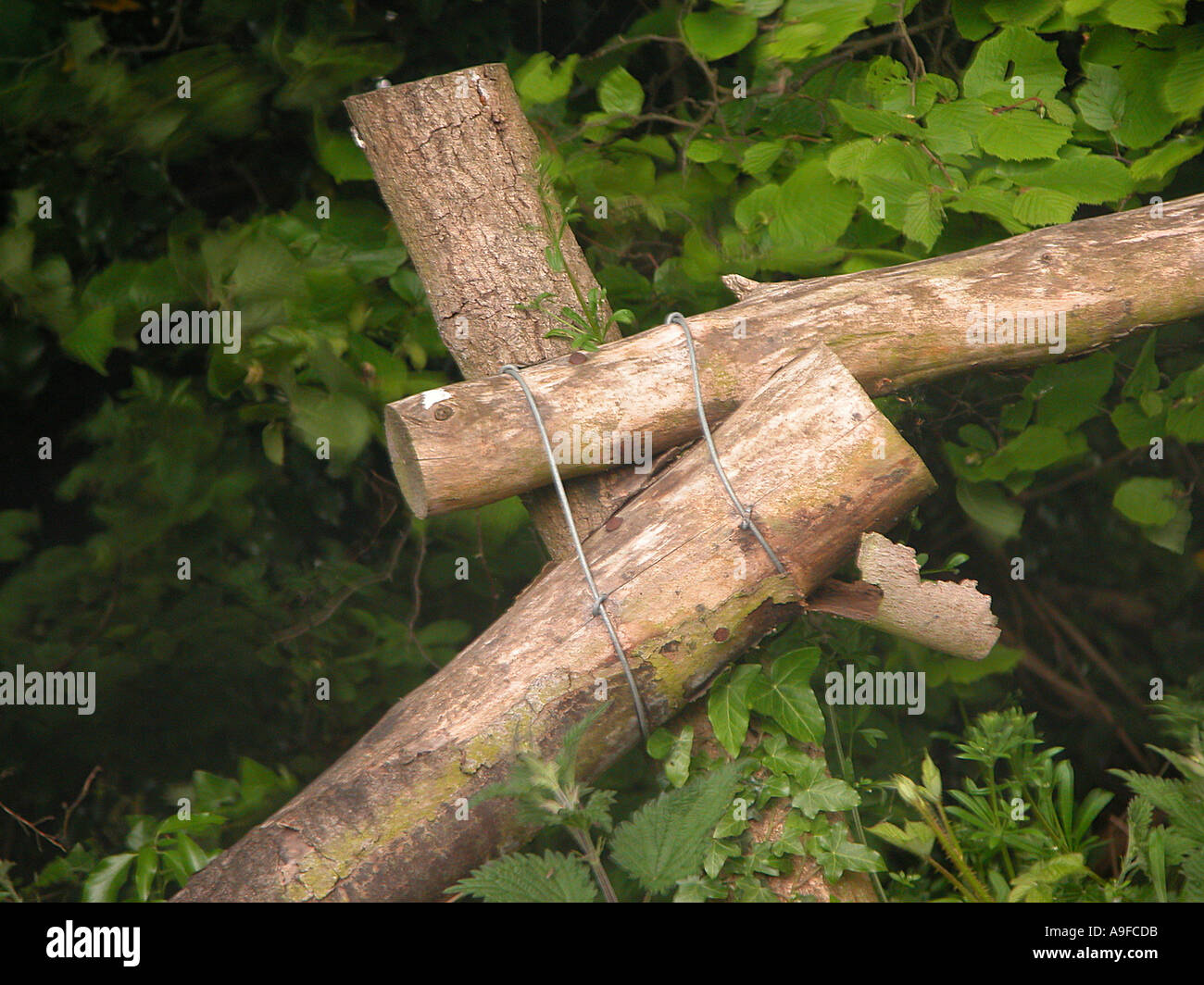 fence post and rails in undergrowth Stock Photo - Alamy