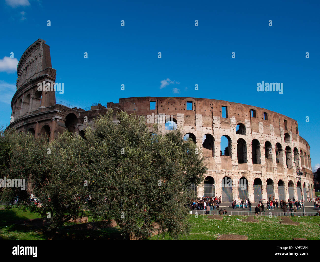 Coliseum in Rome Stock Photo - Alamy