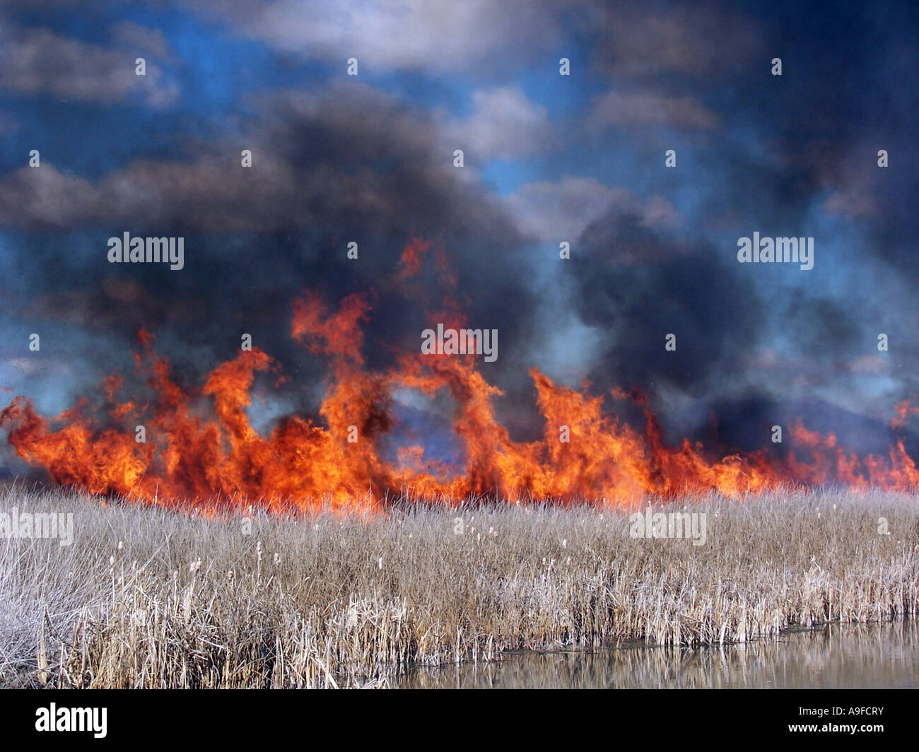 Dangerous marsh land hi-res stock photography and images - Alamy