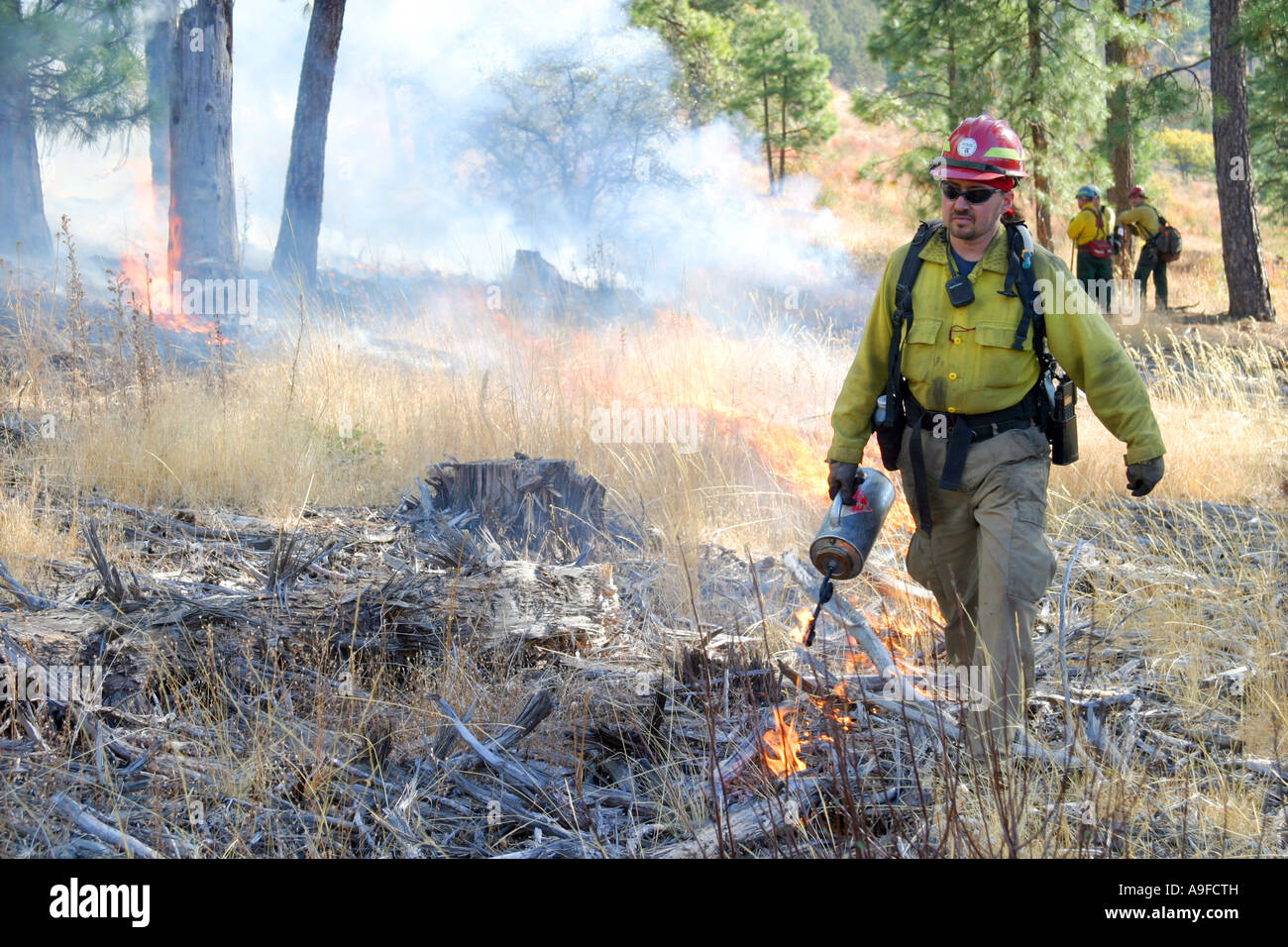 Fireman tackling wildfire Stock Photo - Alamy