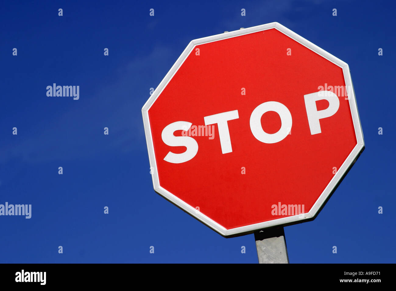 Traffic Stop Sign Stock Photo - Alamy