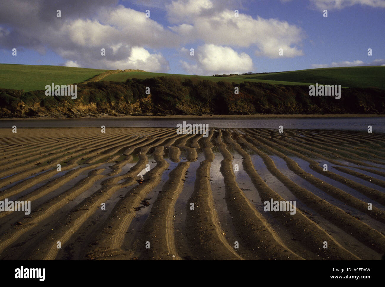 River erme south devon hi-res stock photography and images - Alamy