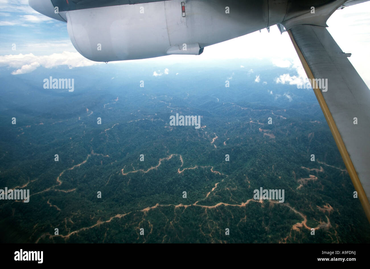 Asia, Malaysia, Borneo, Sarawak, aerial view of logging roads and ...