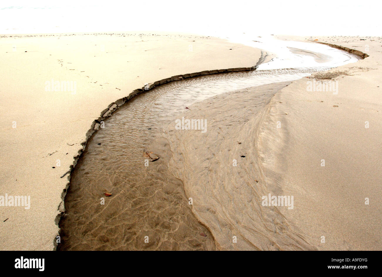 Asia, Malaysia, Borneo, Sarawak, freshwater stream emptying into ocean ...