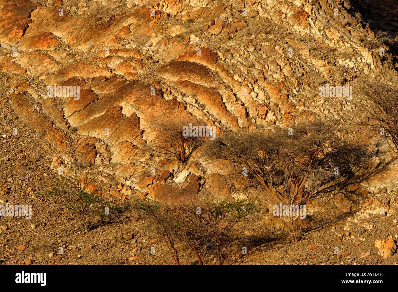 Middle East, UAE, desert landscape with colorful rock formation Stock ...