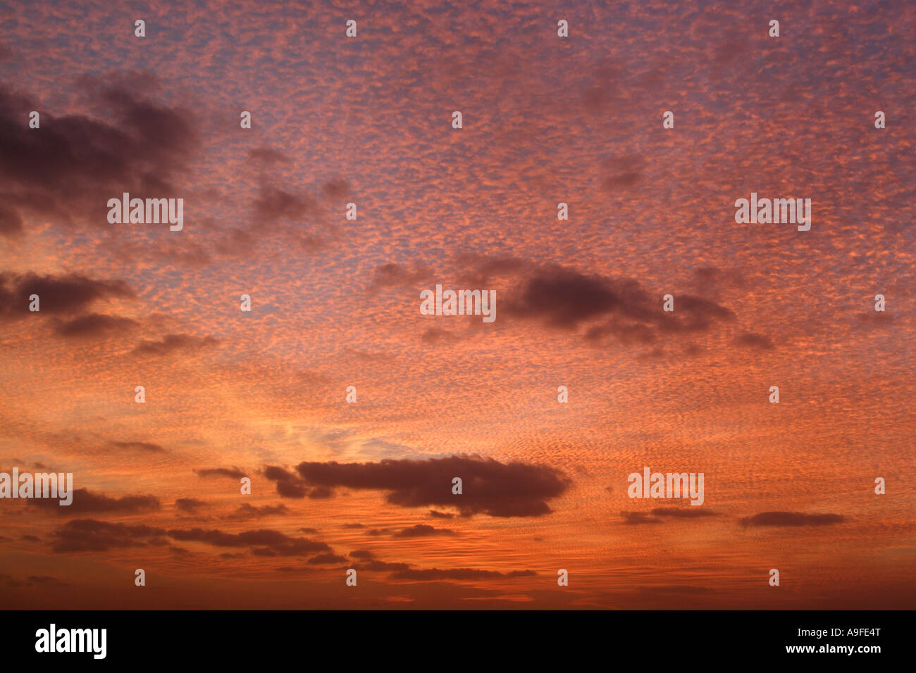 colorful sunset clouds Stock Photo - Alamy