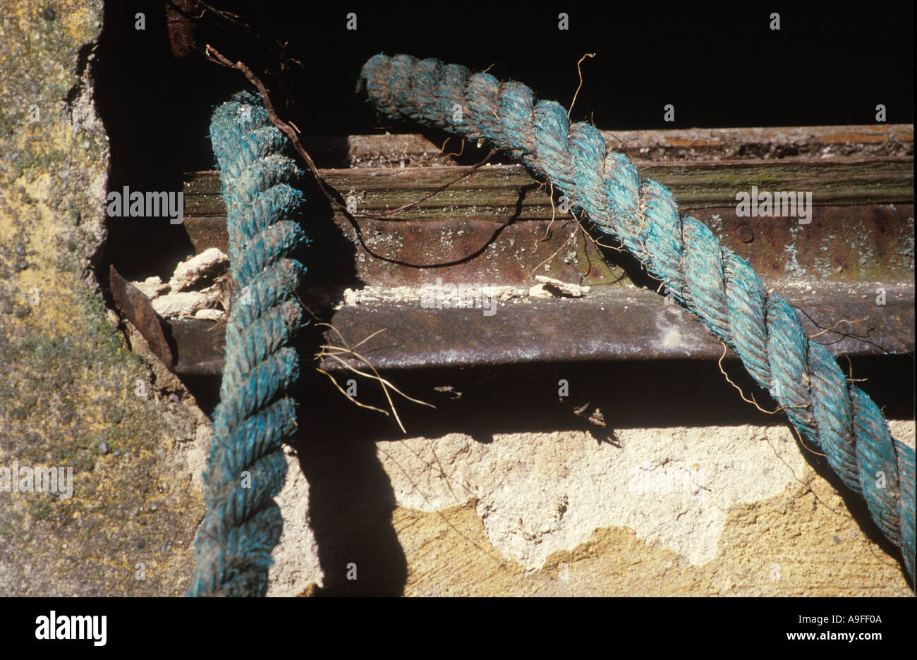 Fonsteroppning hi-res stock photography and images - Alamy