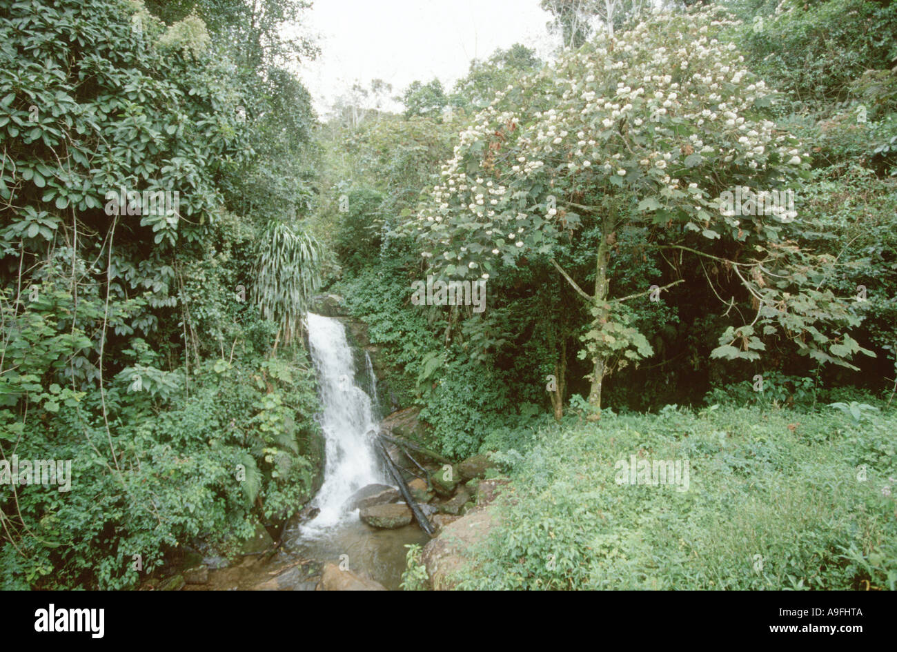 Madagascar waterfalls hi-res stock photography and images - Alamy