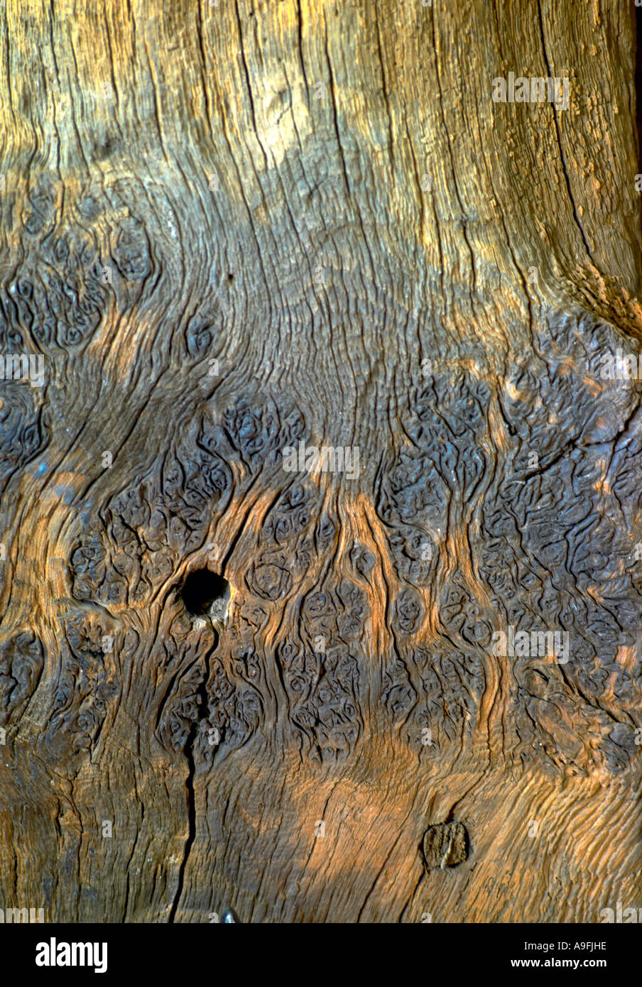 old oak beam close up Stock Photo - Alamy