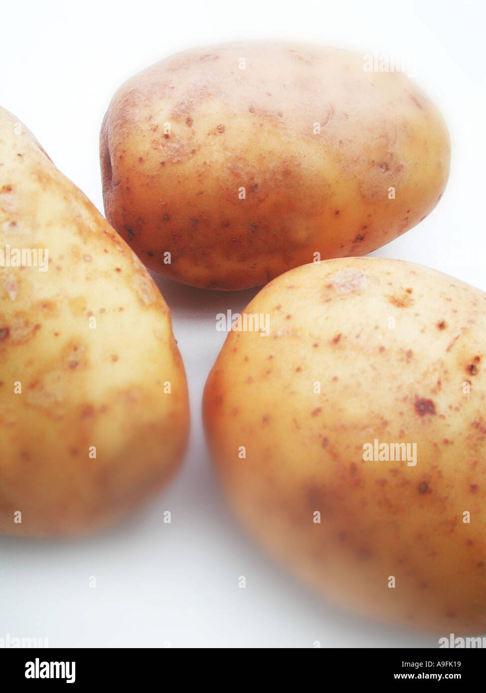 COMMON NAME Potato LATIN NAME Solanum Stock Photo - Alamy