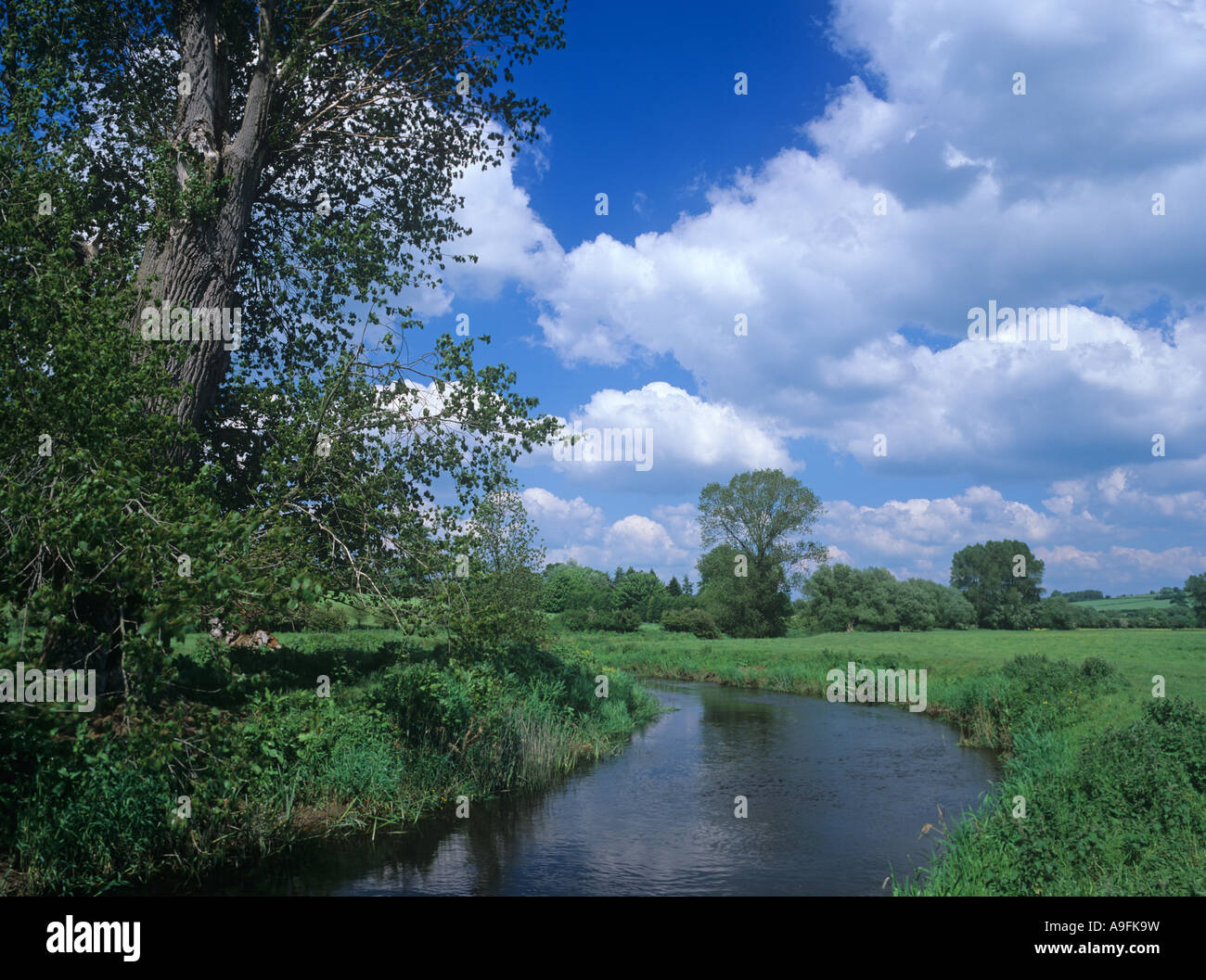 River Cherwell Somerton Oxfordshire Stock Photo - Alamy