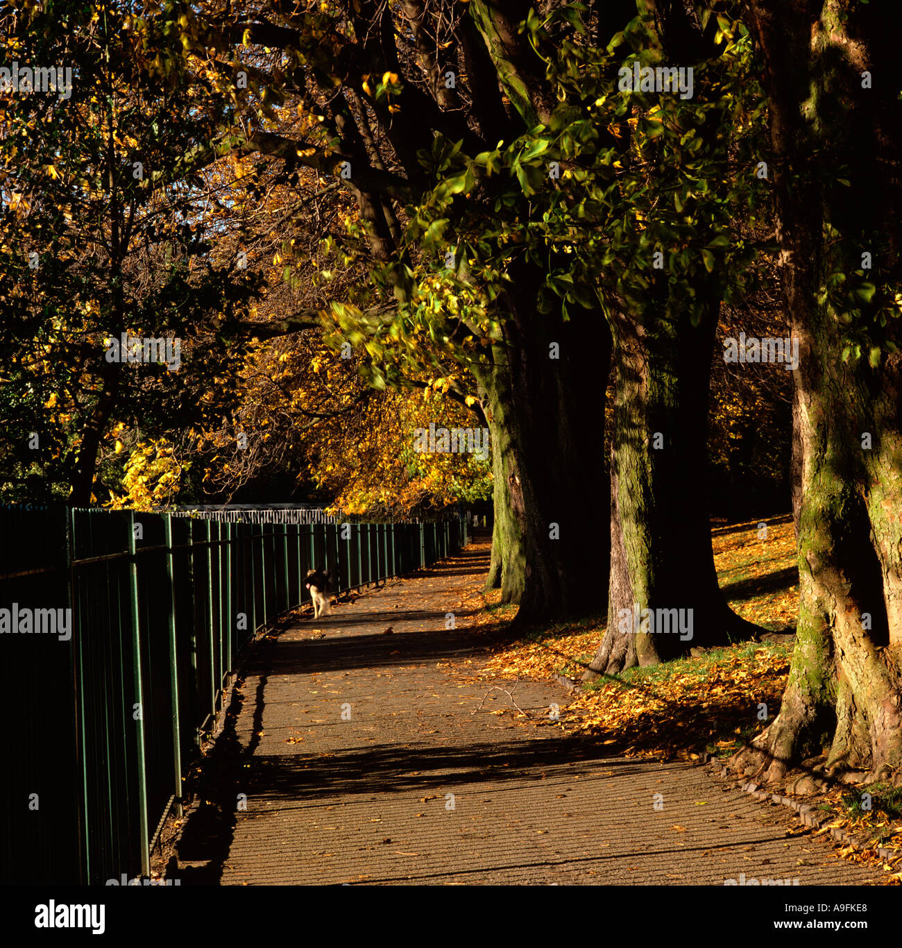 Congleton park hi-res stock photography and images - Alamy