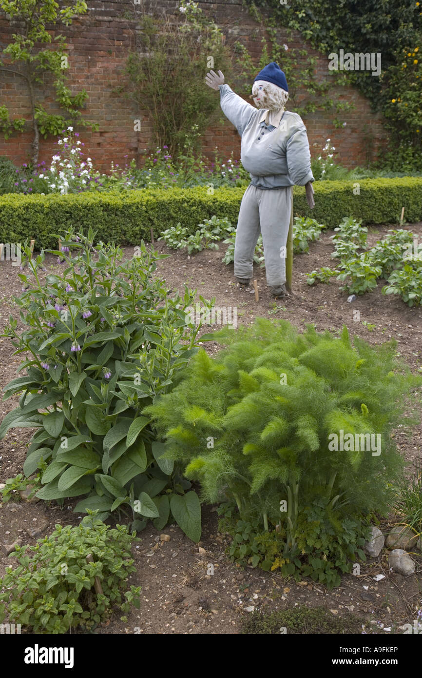 Scare-crow in Vegetable Garden Stock Photo - Alamy