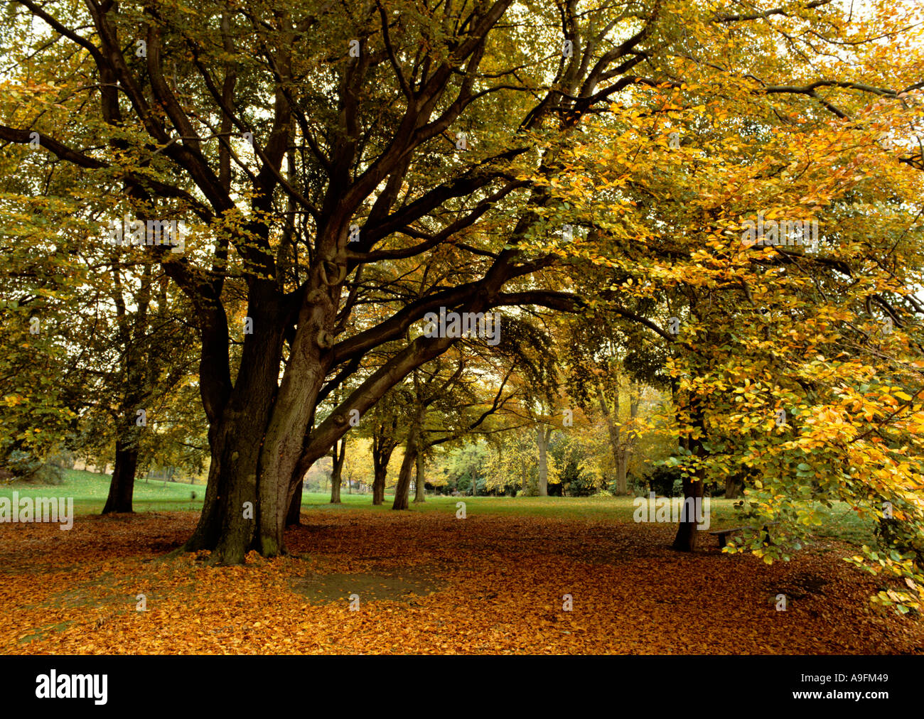 Cheshire stockport bramhall bramall hall hi-res stock photography and ...