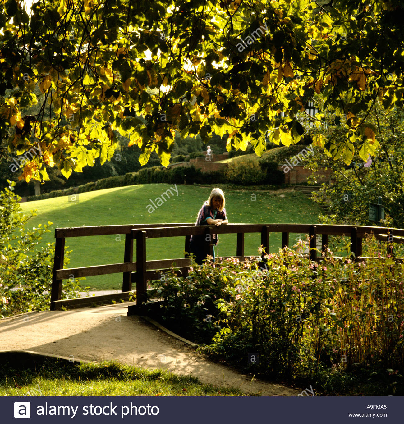 Cheshire Stockport Bramall Hall autumnal woodland in Bramhall Park ...