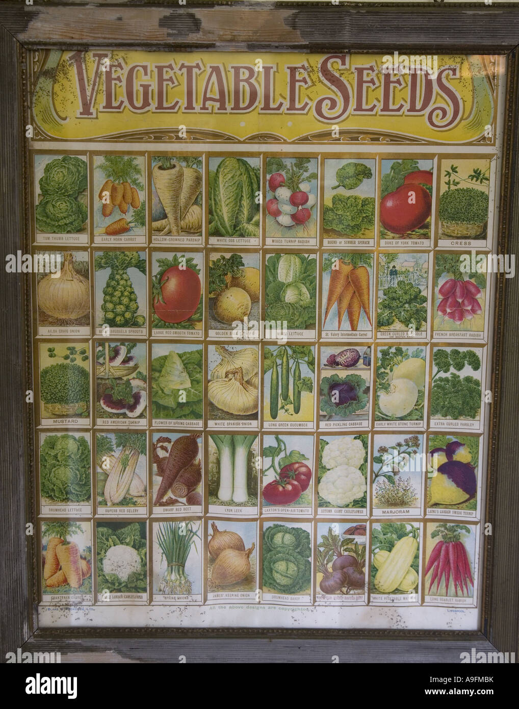 Victorian Vegatable Seed Packets Stock Photo - Alamy
