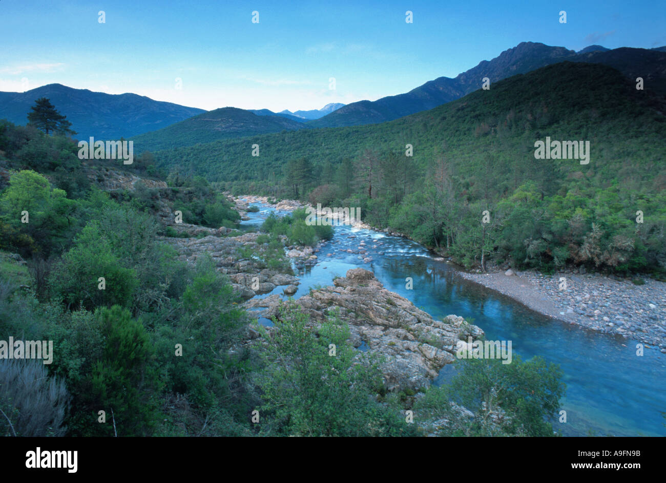 Fango valley, mountain river , France, Corsica, Calvi, Mai 04 Stock ...