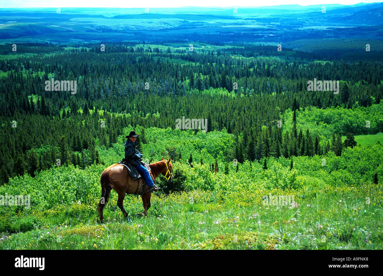 Lonesome cowboy hi-res stock photography and images - Alamy