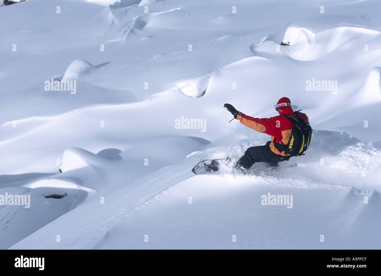 snowboarder in deep powder Stock Photo - Alamy