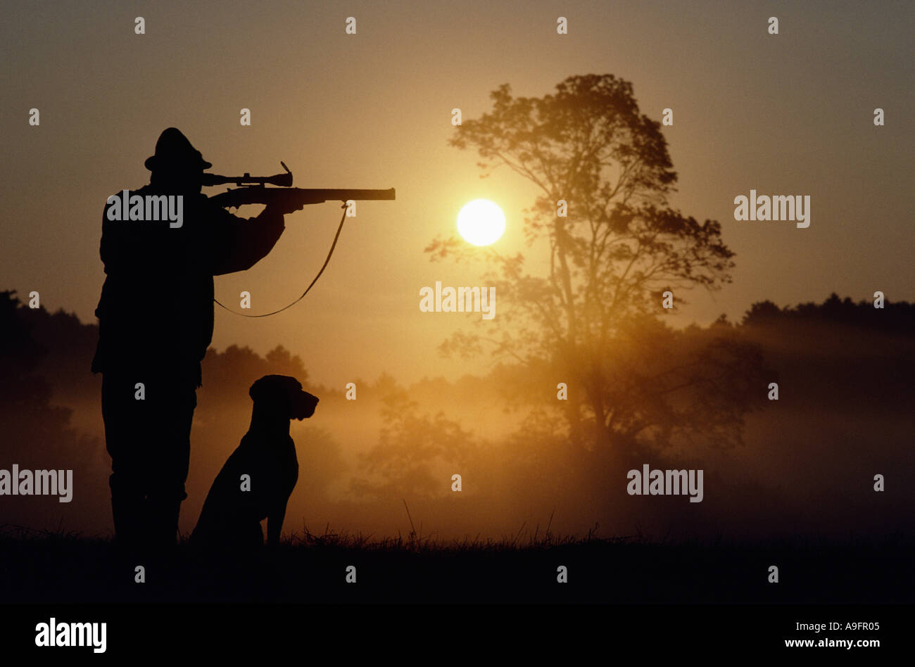 hunter with hunting dog, taking aim with riffle Stock Photo - Alamy