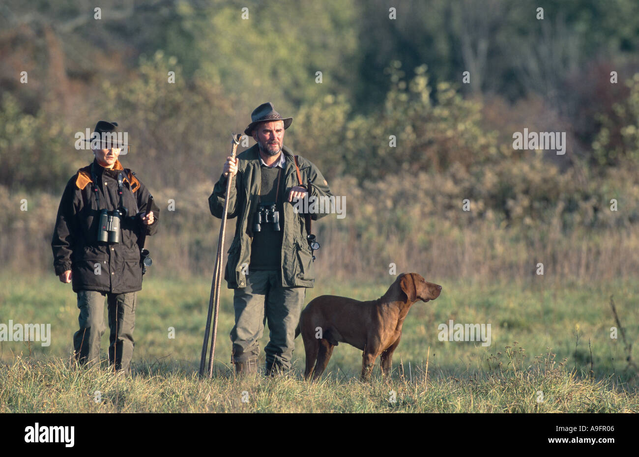 two hunters with hunting dog Stock Photo - Alamy
