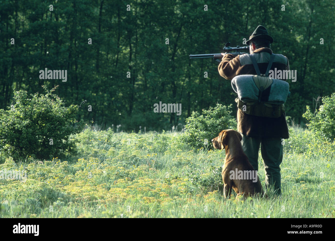 Taking dog for job hi-res stock photography and images - Alamy