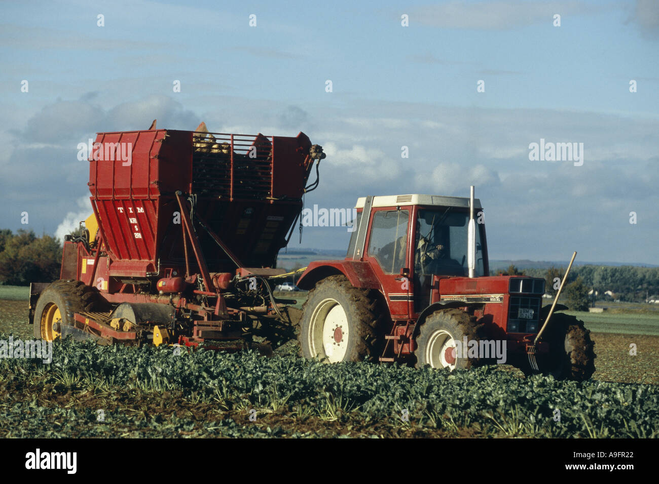 sugar beet harvesting, tractor pulling harvesting machine, Oct 2004 ...
