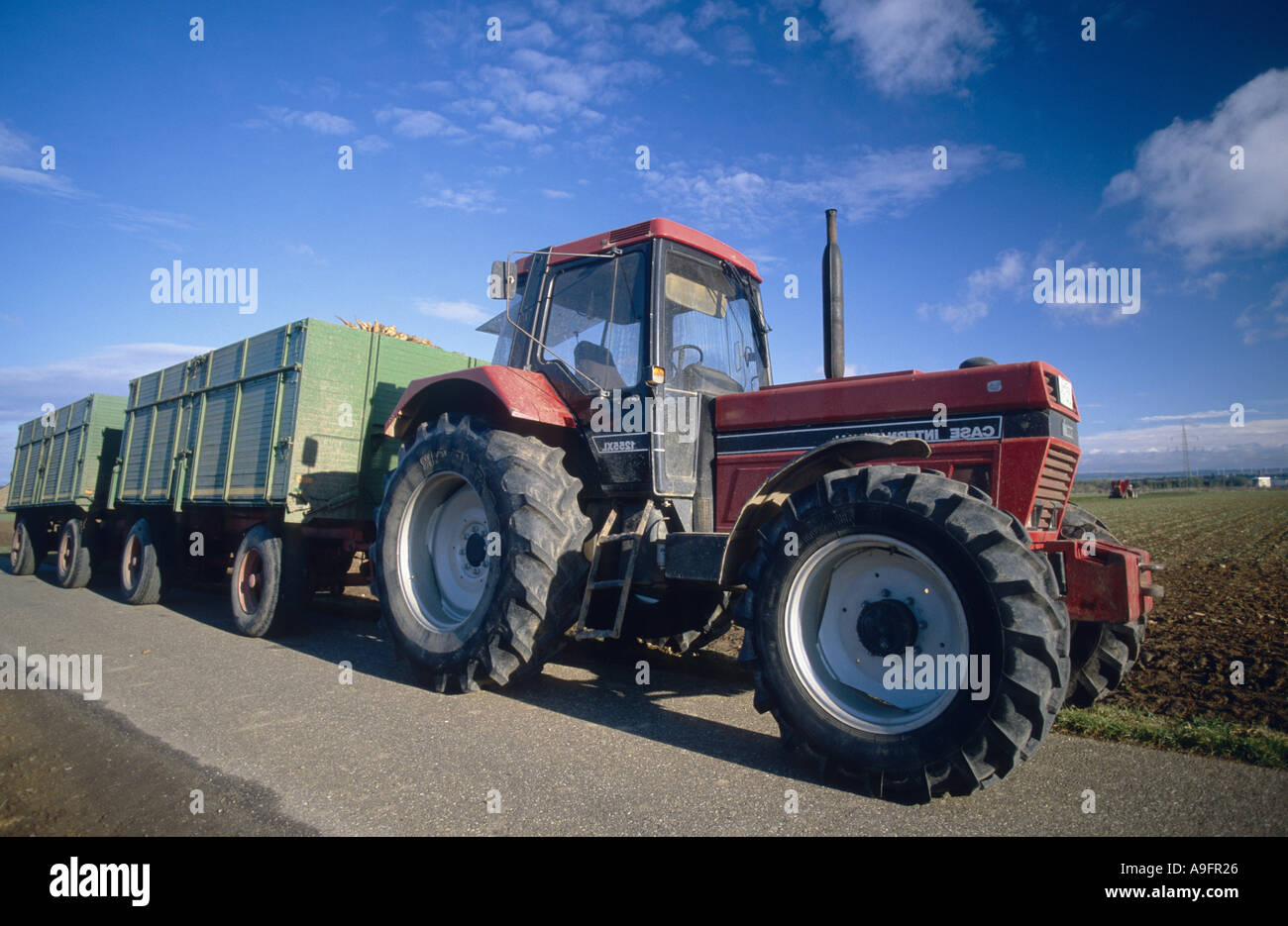 Sugear hi-res stock photography and images - Alamy