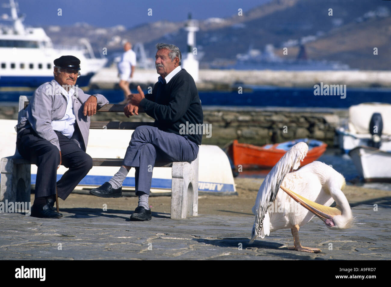 two Greeks sitting on bench in the harbor of Mykonos, debating, with ...