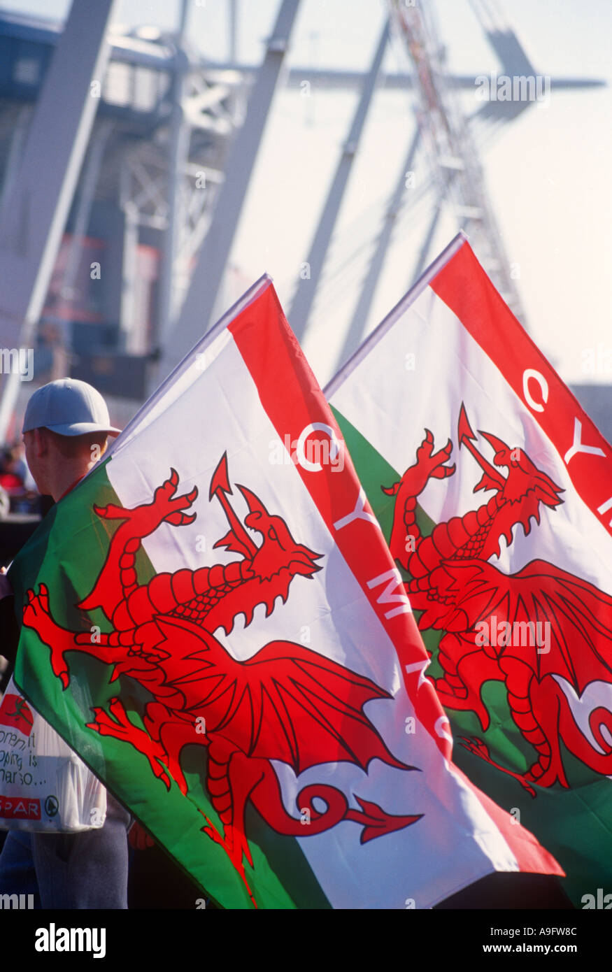 Rugby Fan with Welsh National Flags Millennium Stadium Cardiff South ...