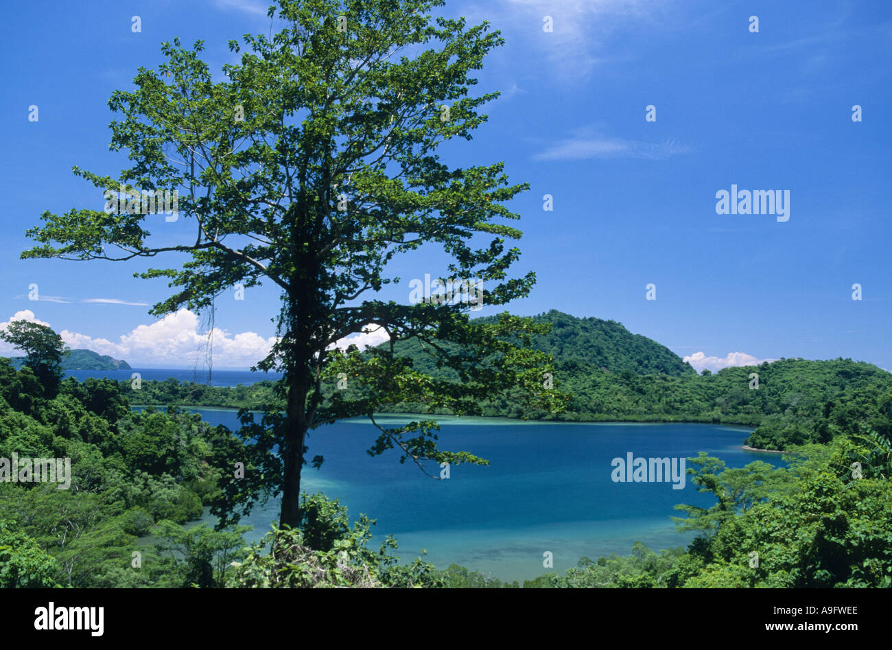 Yapen island hi-res stock photography and images - Alamy