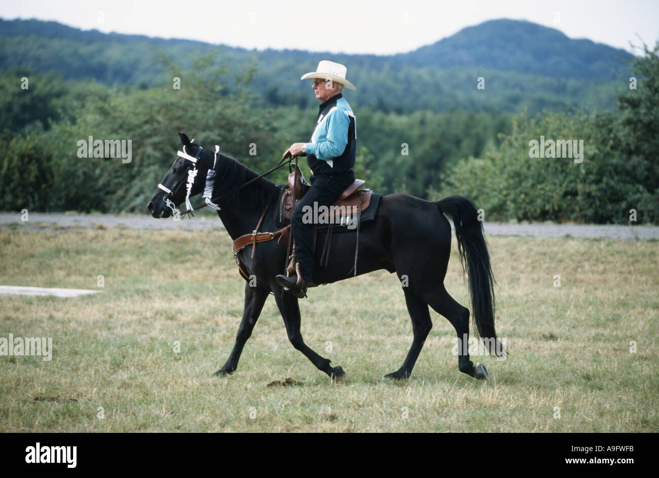 Missouri foxtrotting horse hi-res stock photography and images - Alamy