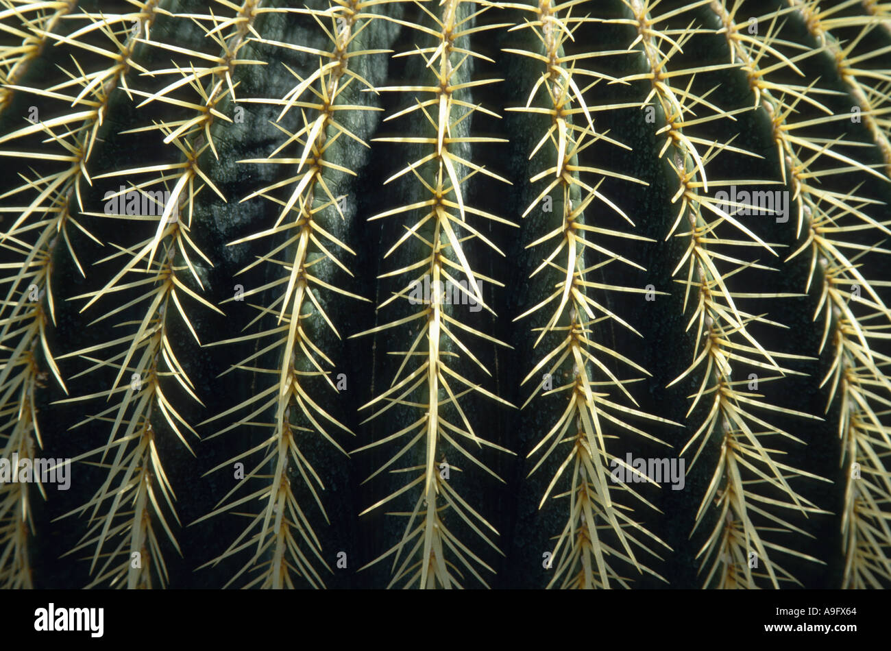 K section hi-res stock photography and images - Alamy