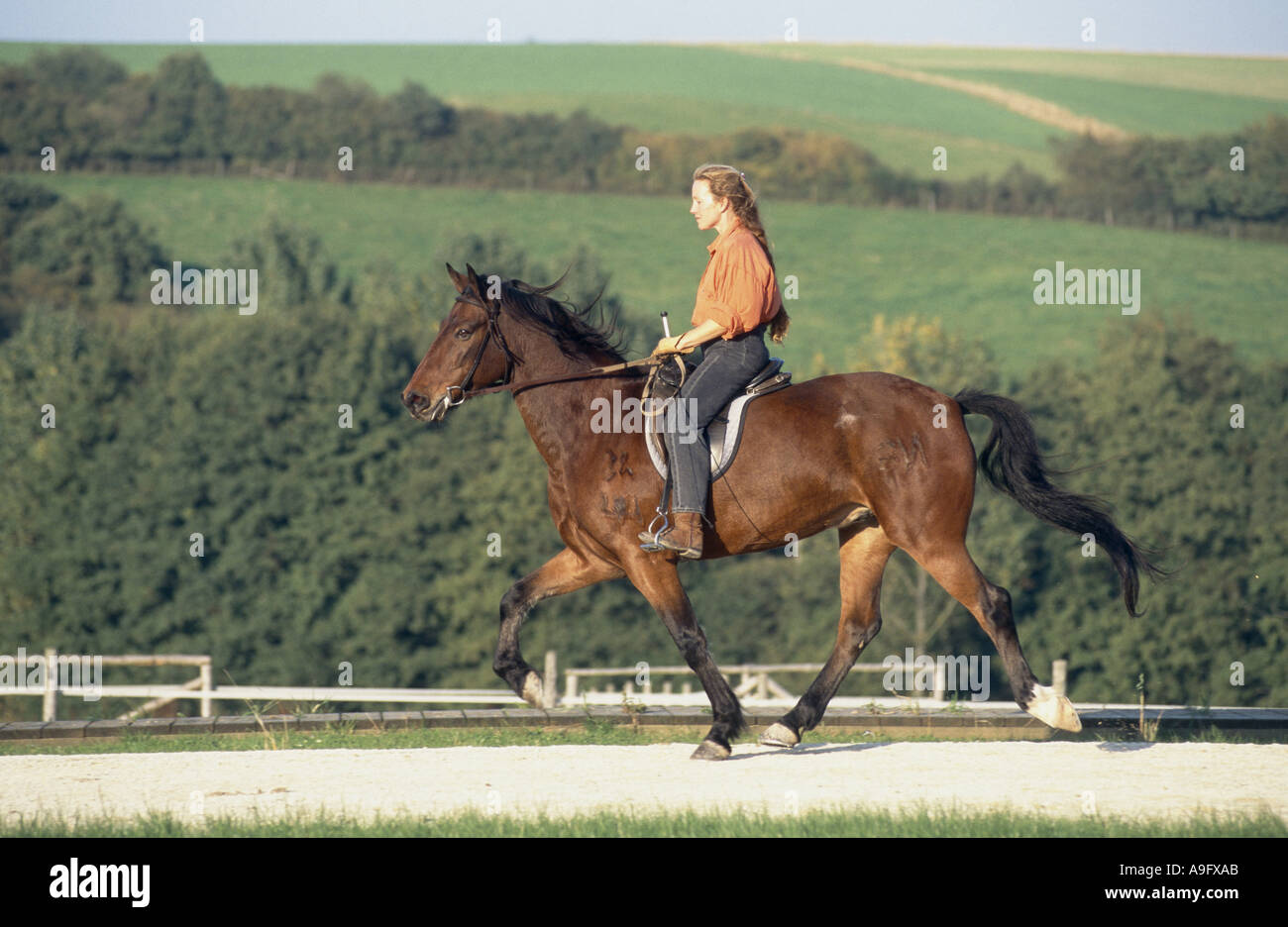 Kabarda hi-res stock photography and images - Alamy