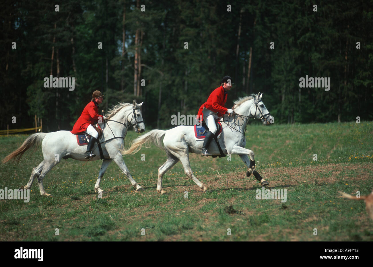 Two hunting horses hi-res stock photography and images - Alamy