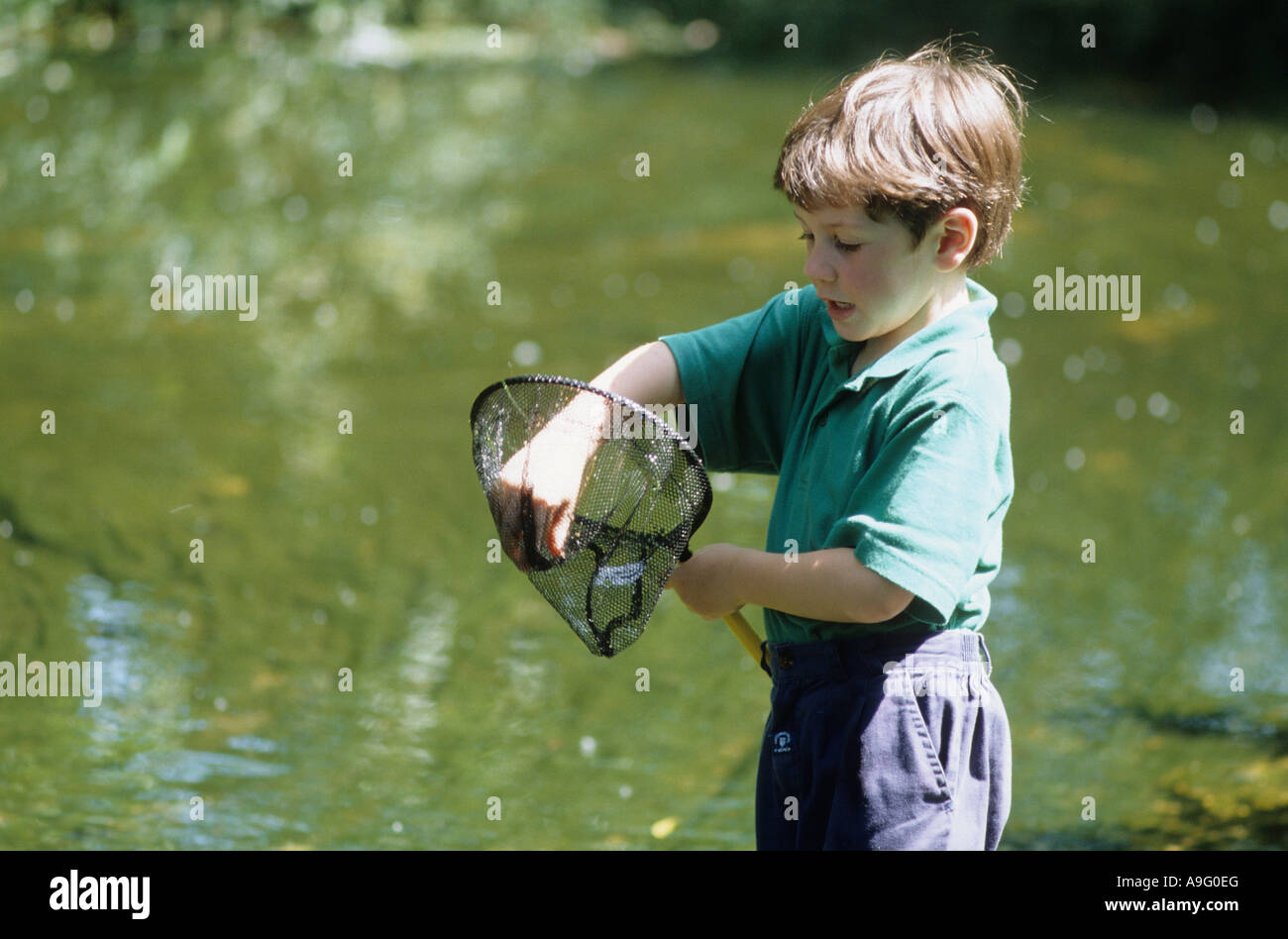 Young boy about 5 fishing with net in river Darent Kent Stock Photo - Alamy