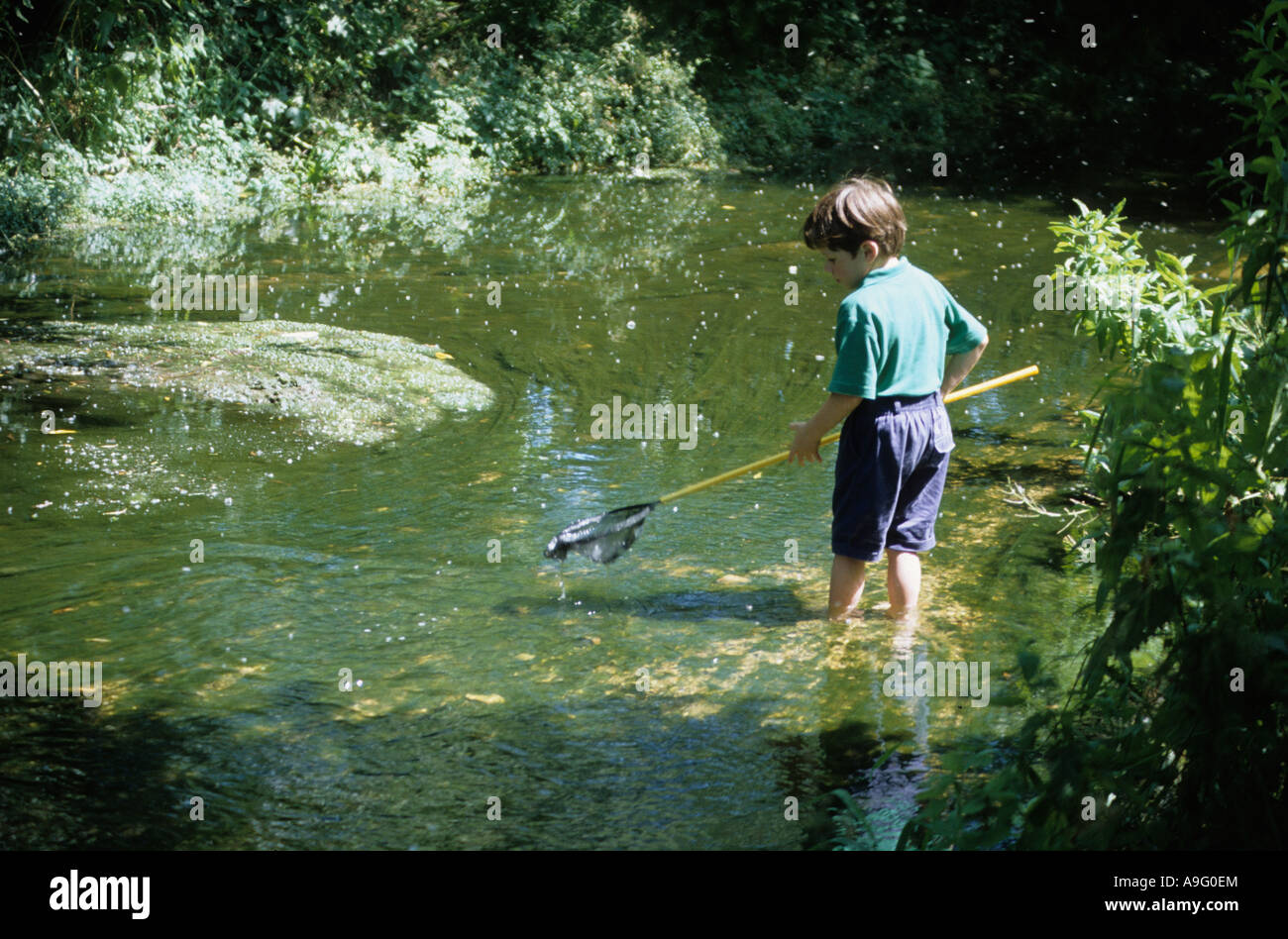 Young boy about 5 fishing with net in river Darent Kent Stock Photo - Alamy