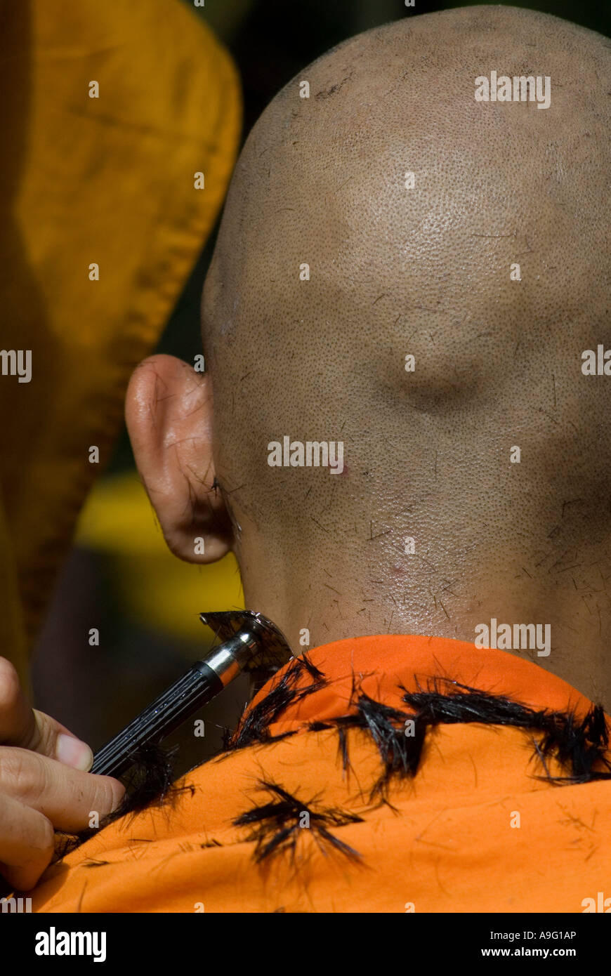 Young Buddhist monk having his head shaved with an old fashioned safety ...