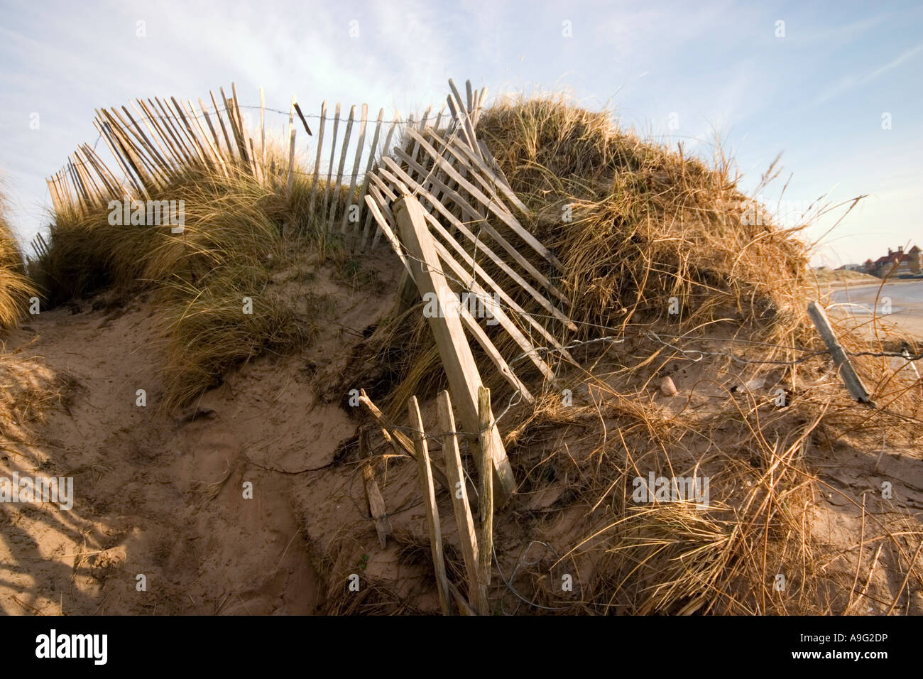 Grass and an old fence on the sand dunes of a beach Stock Photo - Alamy