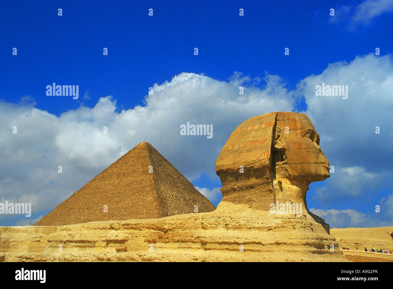 Sphinx side view pyramids giza hi-res stock photography and images - Alamy