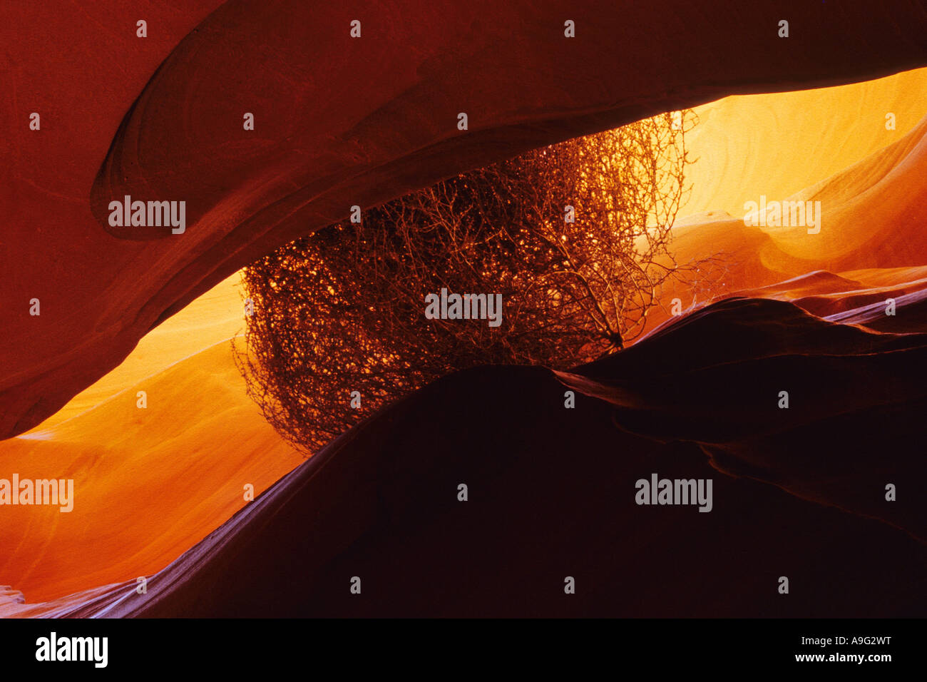 Upper Antelope Canyon, USA, Arizona Stock Photo - Alamy