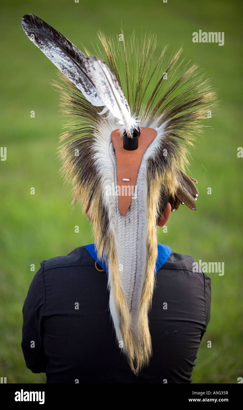 North american porcupine texas hi-res stock photography and images - Alamy