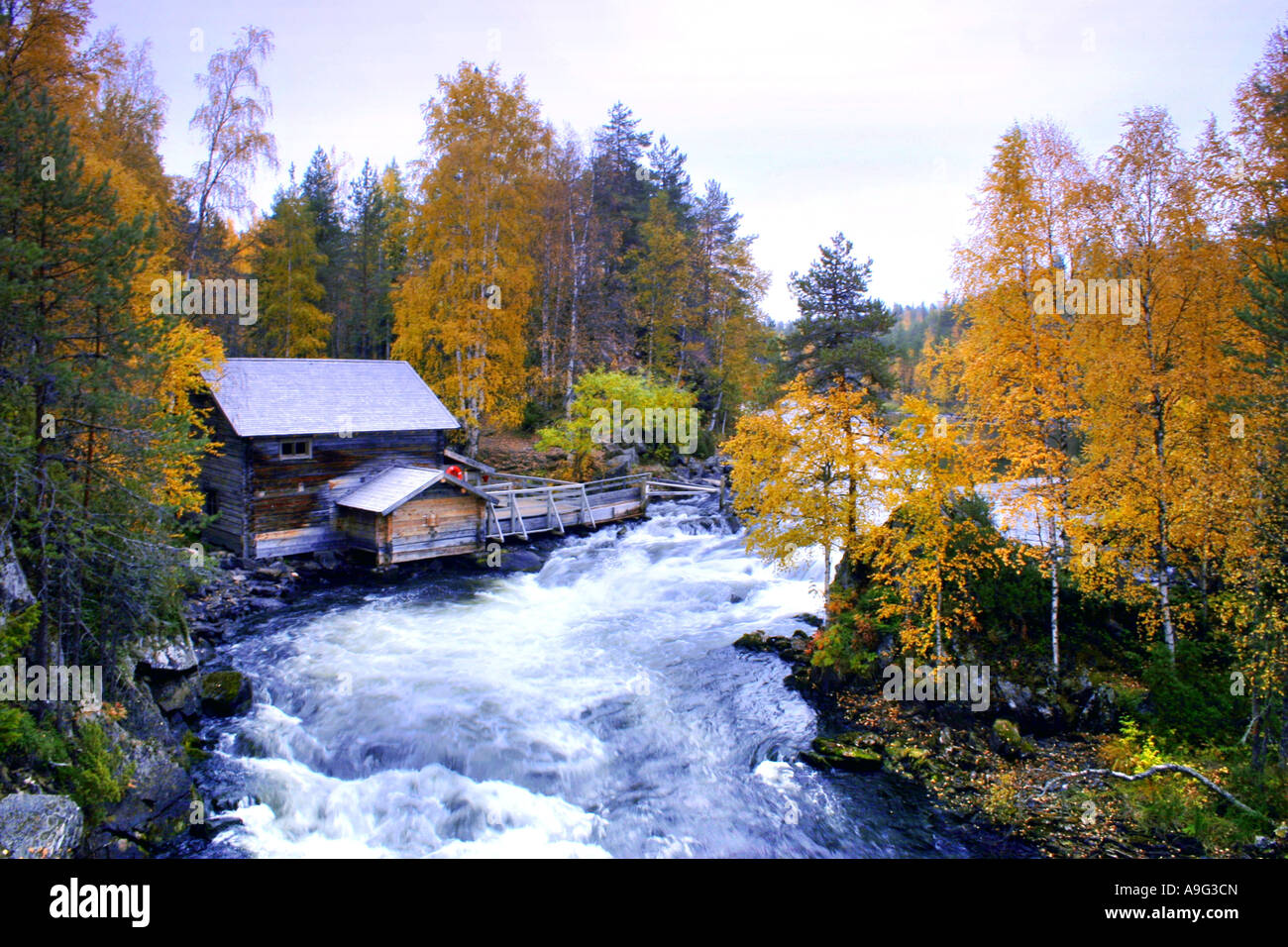 Myllykoski waterfall, Finland, Oulu, Kuusamo Stock Photo - Alamy