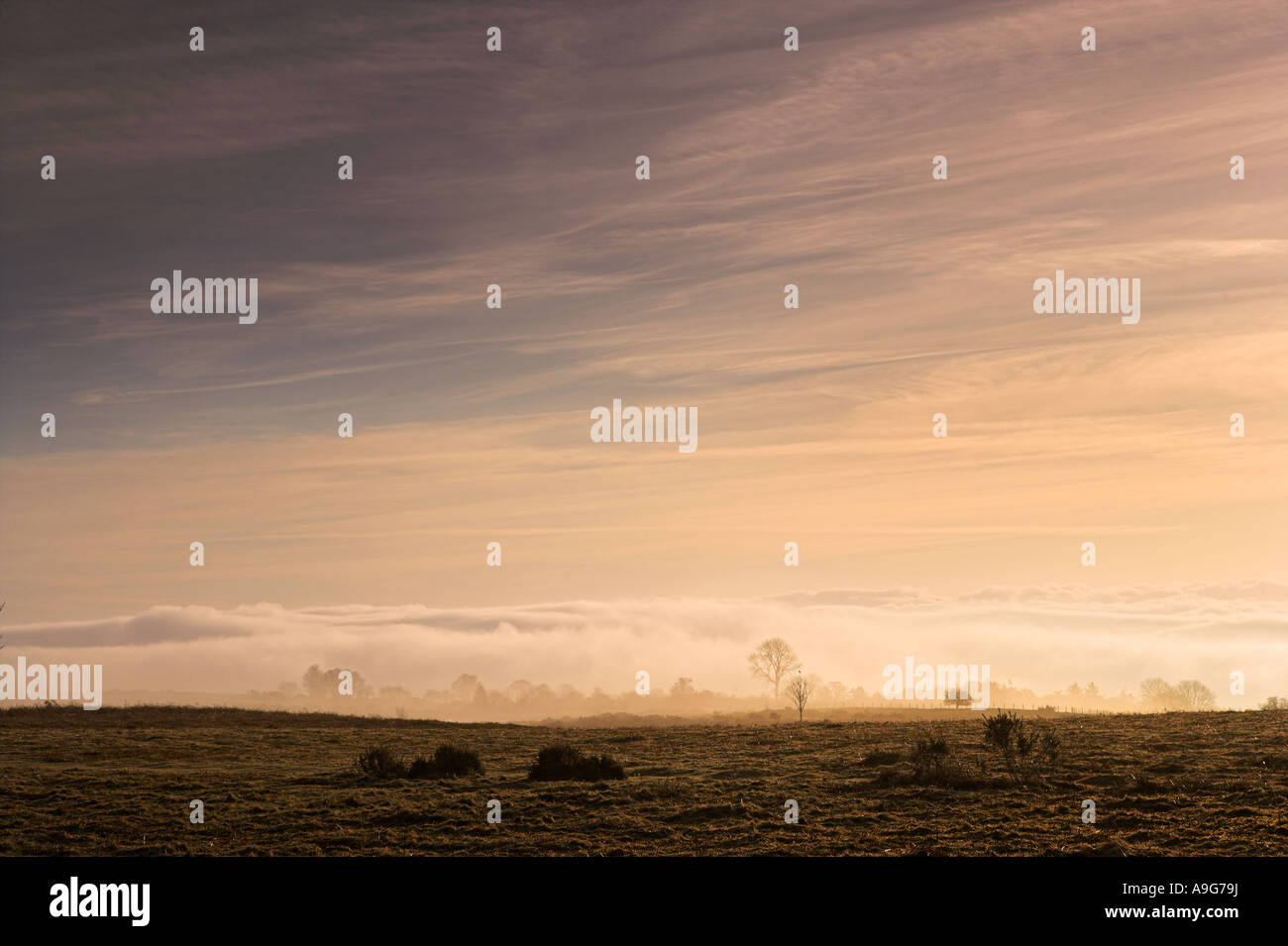 Illtyd common beacons powys wales hi-res stock photography and images ...