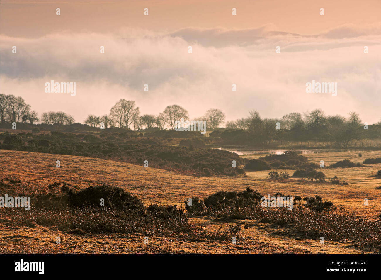 Illtyd common beacons powys wales hi-res stock photography and images ...