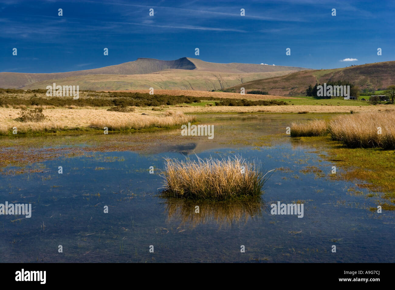 Mynydd illtyd pond hi-res stock photography and images - Alamy