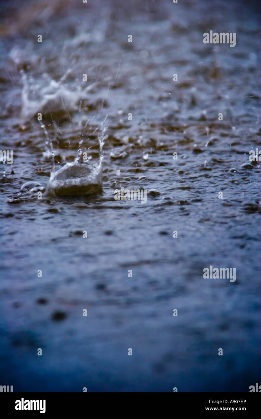 Stock photo of a water filled surface with intense rain drops splashing ...