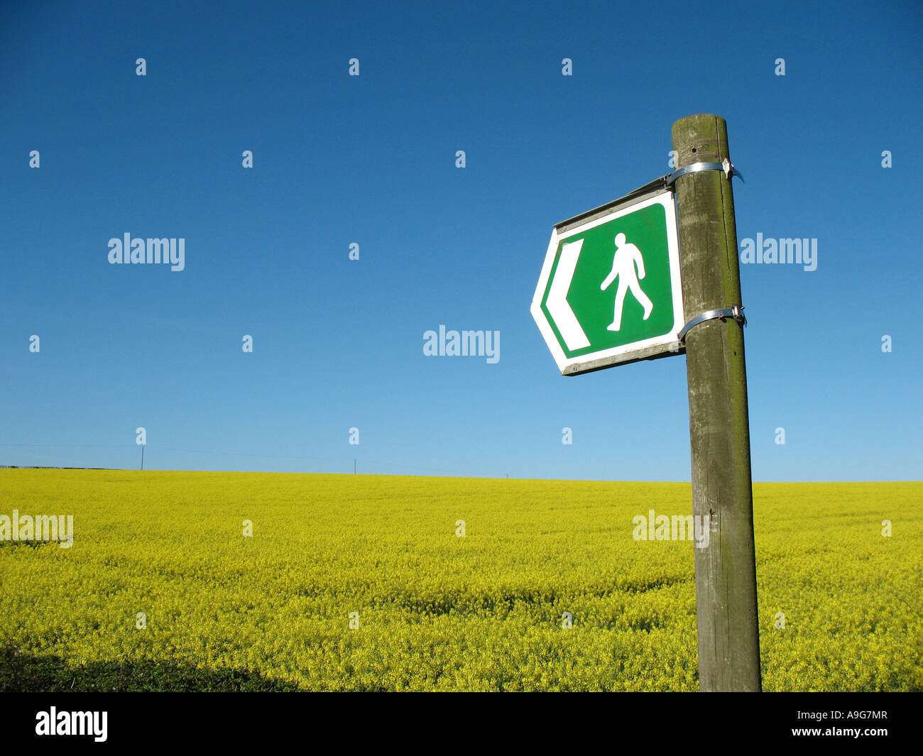 Footpath Sign Rape Seed Fields Stormy Down Stock Photo - Alamy