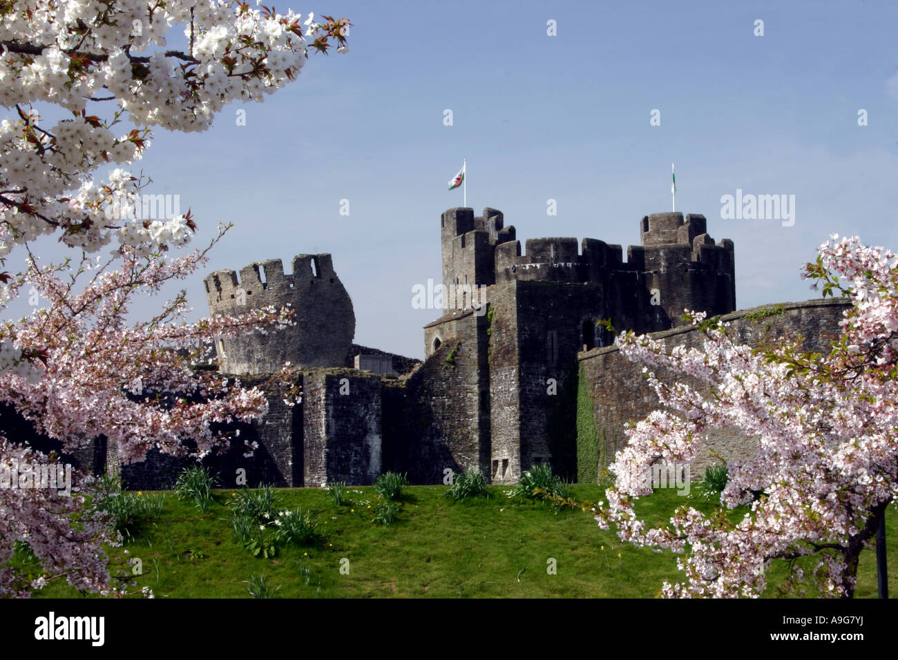 Caerphilly castle wales spring hi-res stock photography and images - Alamy