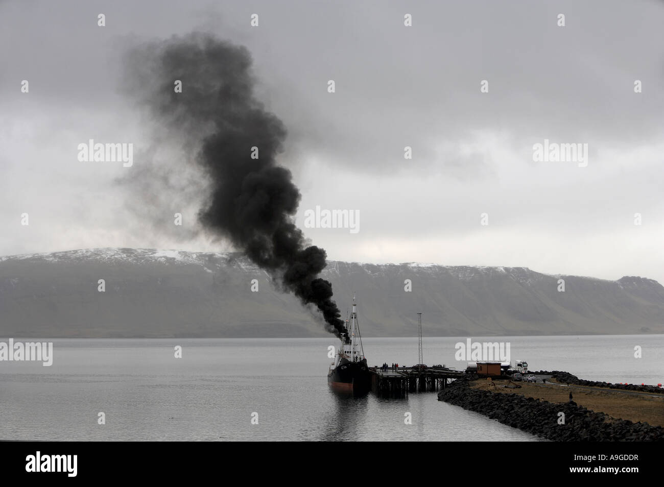 The whaleboat Hvalur 9 got the fourth whale and landed it in their ...
